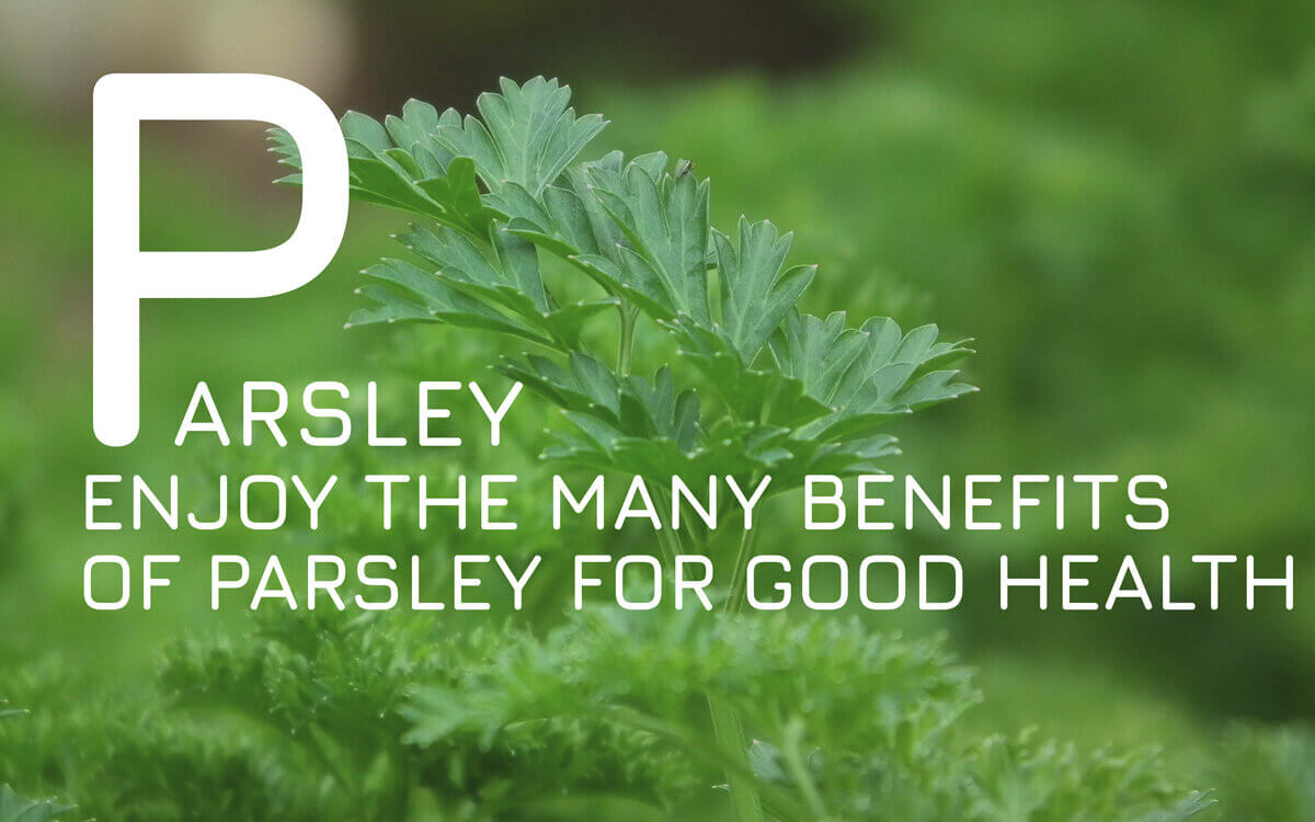 Enjoy the Many Benefits of Parsley for Good Health - 2026